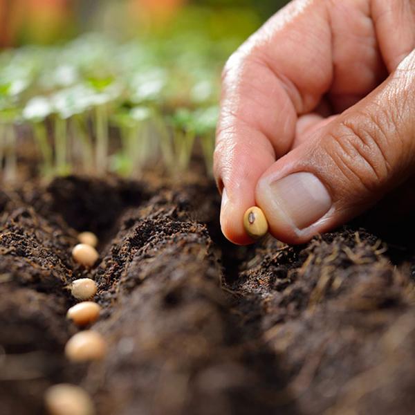 About Cuckoo Bridge Plant Centre ⋆ Cuckoo Bridge Nursery & Farm Shop