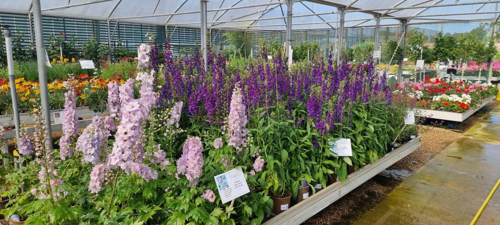 Home ⋆ Cuckoo Bridge Nursery & Farm Shop